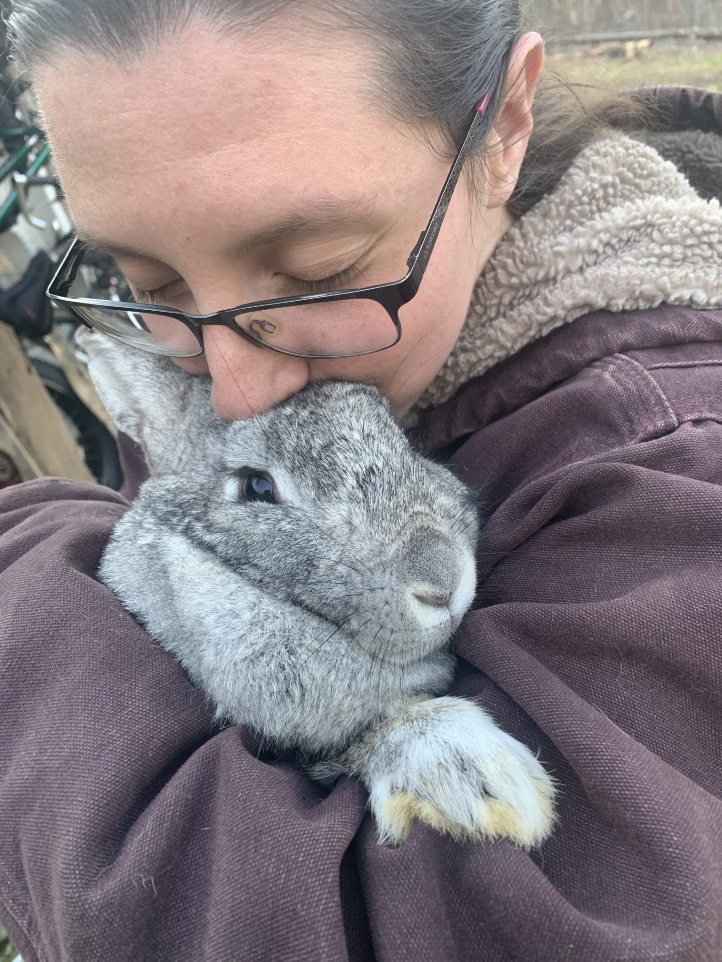 Meet The Animals - Heart of Maine Homestead